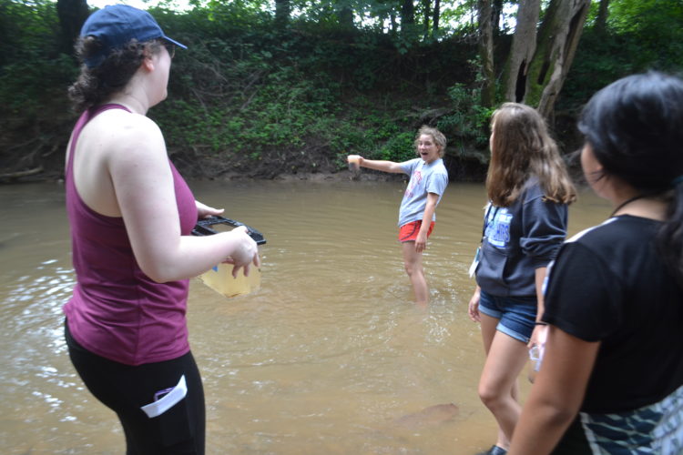 Camp Hervida: “It’s an amazing place.” | News, Sports, Jobs - Marietta ...